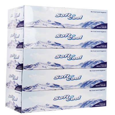 Soft N Cool Facial Tissues Silver Pack, 100 x 2 ply – 30 pcs – packsouq