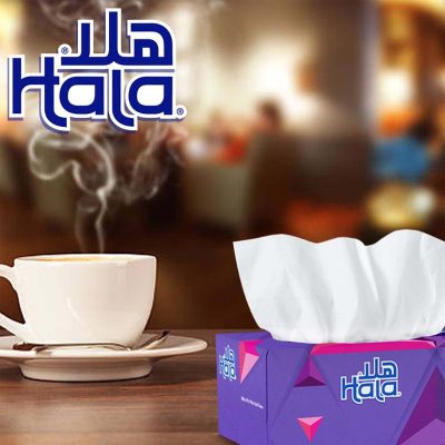 Hala - Facial Tissue, 170 Sheets - Pack of 5 - packsouq